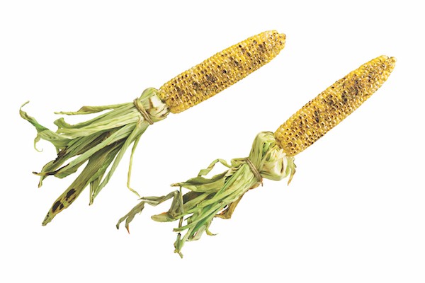 13 Sweet Corn Recipes That Don't Require Shucking | Hy-Vee