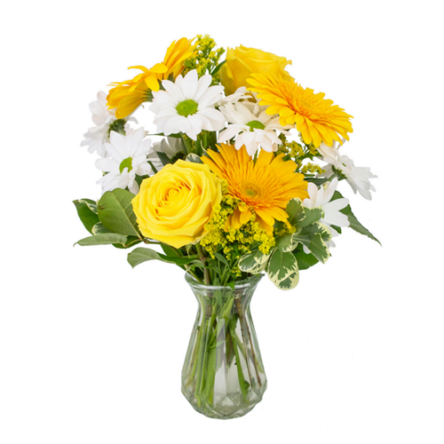 Sunshine Hy Vee Aisles Online Grocery Shopping